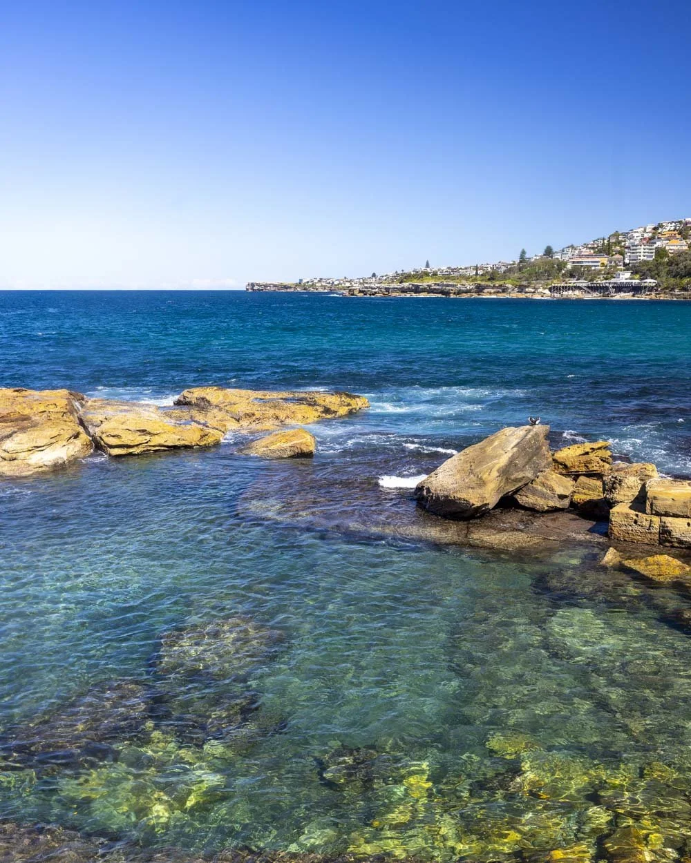 Giles Baths: is this Sydney's most beautiful rockpool? — Walk My World