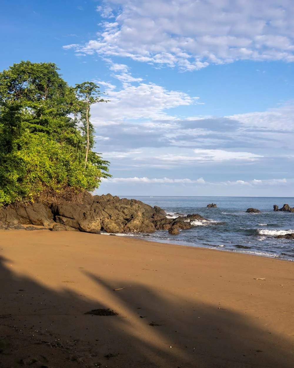 Drake Trail: a wild hike and a taste of Corcovado without the entry fee ...