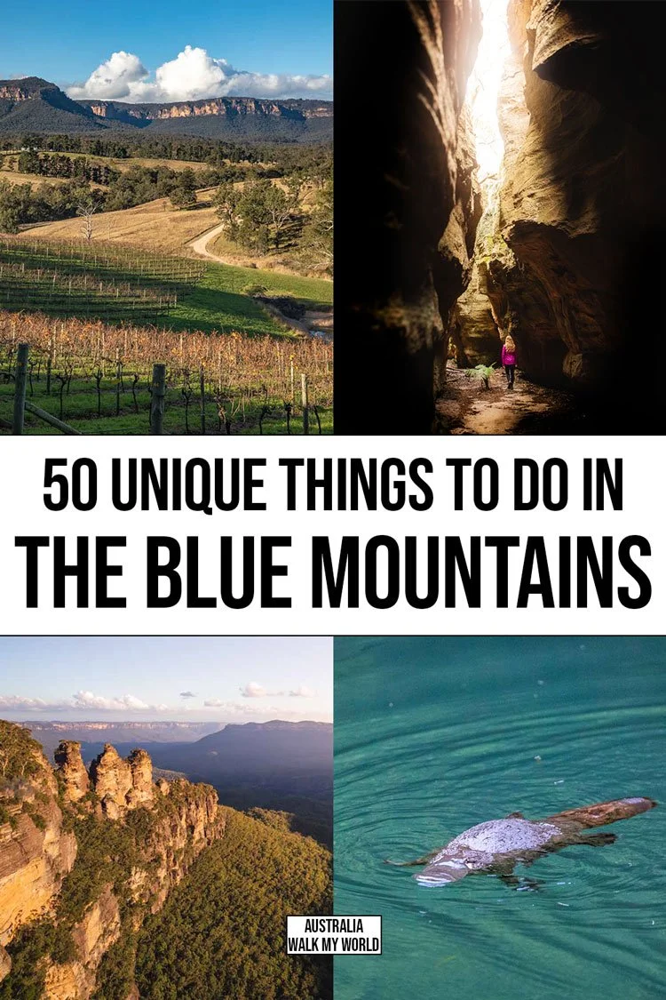 50 things to do in the Blue Mountains you won't find anywhere else ...