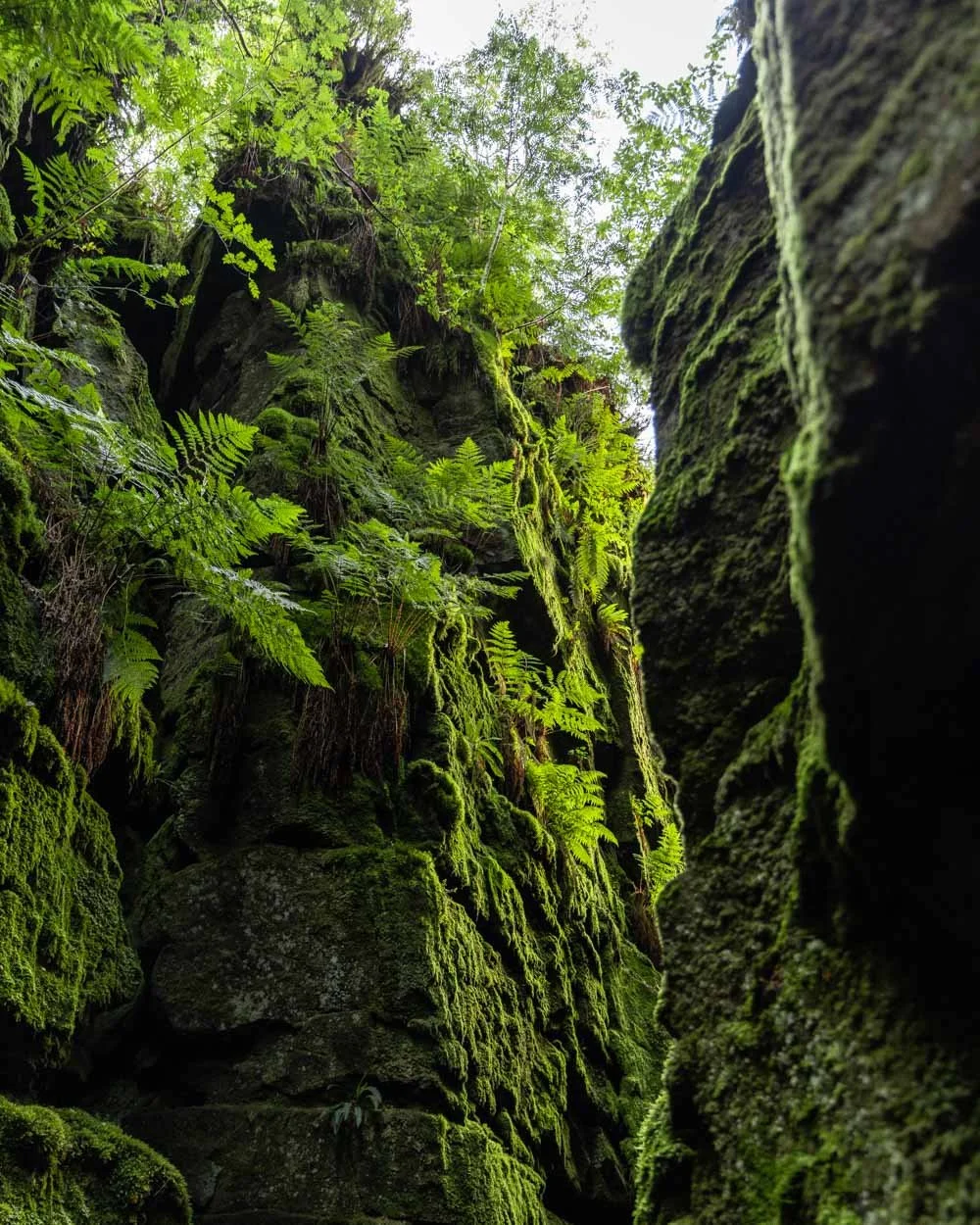 The quickest and easiest walk to the magical Lud's Church — Walk My World