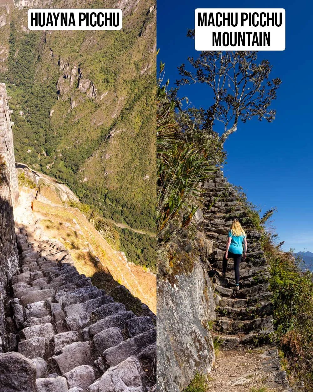 Huayna Picchu vs Machu Picchu Mountain: which is the best Machu Picchu ...