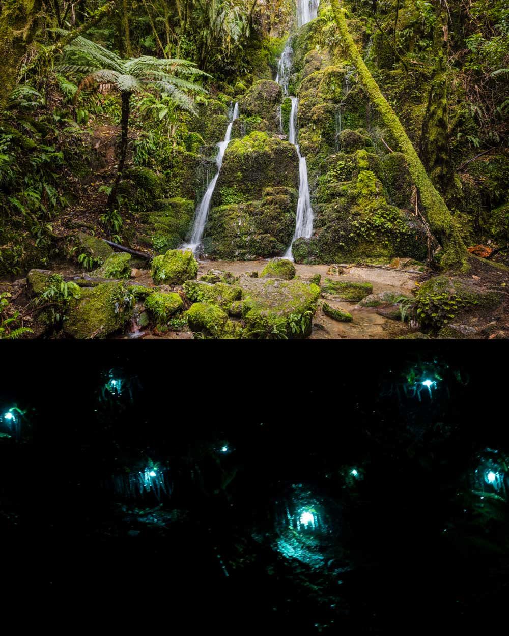 Cascade Falls: Rotorua's secret glow worm waterfall — Walk My World