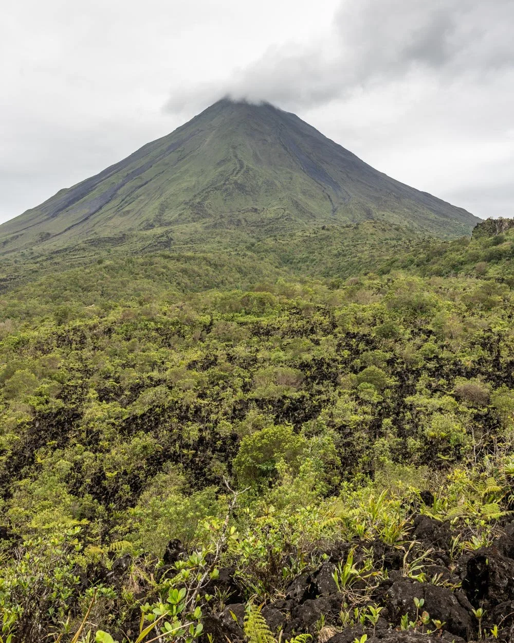 Arenal 1968 vs Arenal National Park vs Mirador El Silencio — Walk My World