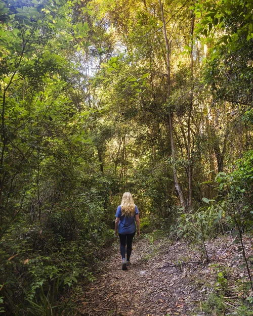 Faulconbridge Point: secluded wild swimming & epic sunset spot in the ...