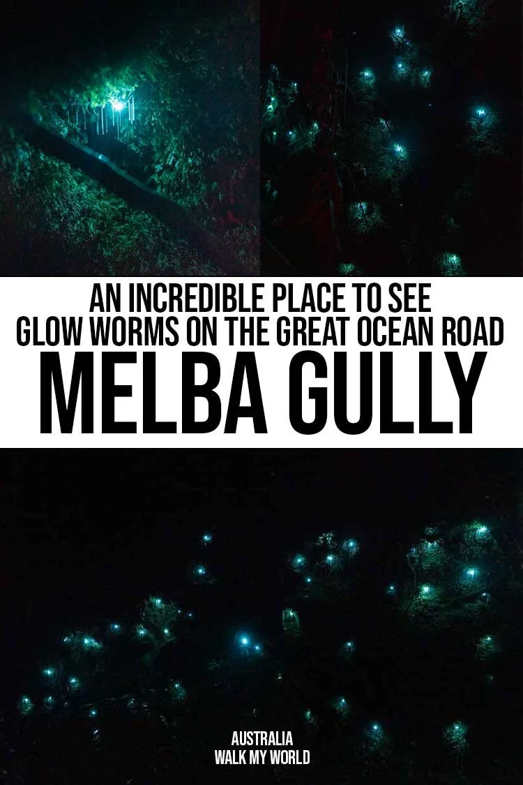 Top tips for visiting the Melba Gully glow worms — Walk My World