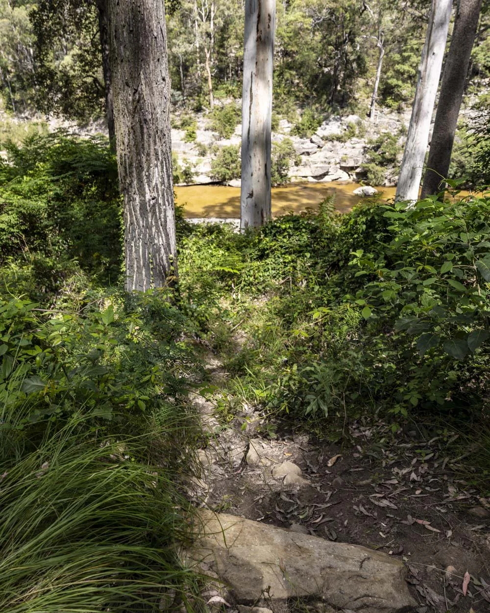 The spectacular Vale of Avoca Track: remote beaches and crystal clear ...