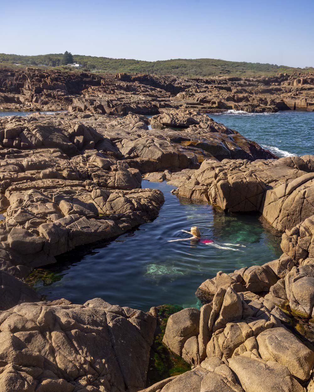 Boat Harbour Rockpool: a stunning blue rockpool in the heart of Port ...