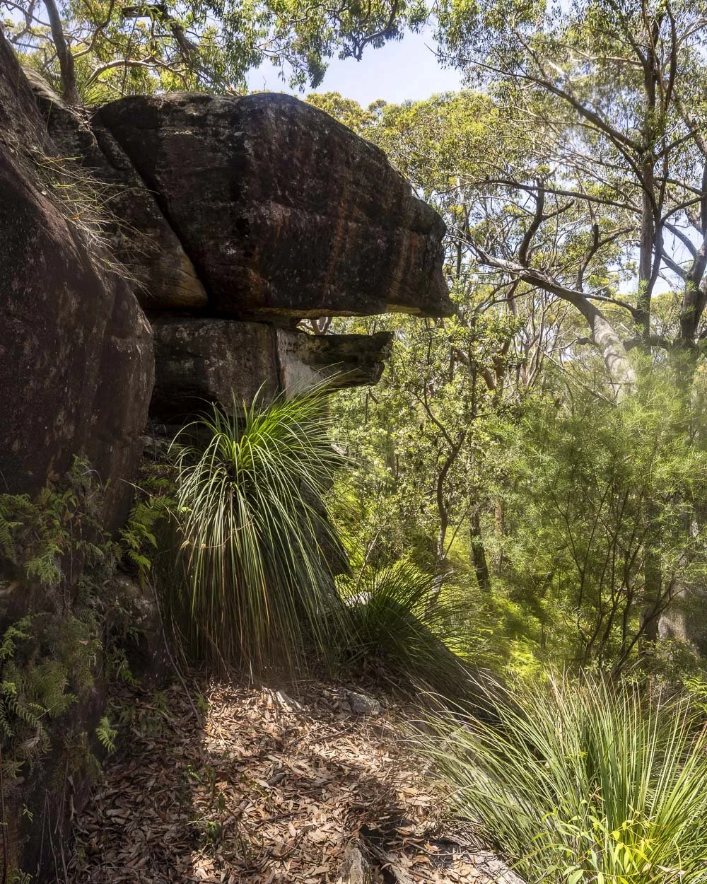 How to find the mysterious Gosford Glyphs via the shortest route — Walk ...