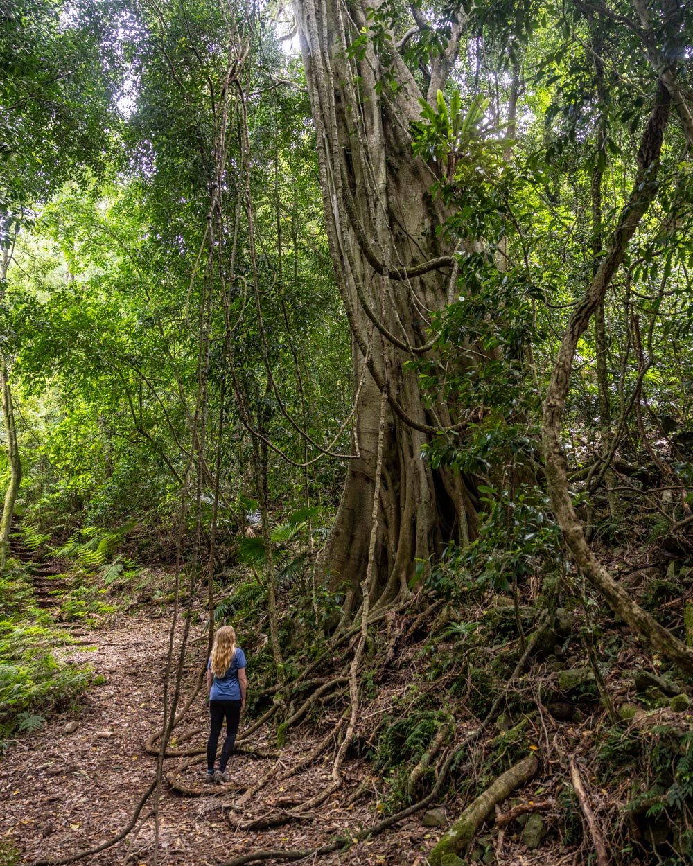 17 Fun Things to do in Berry for the perfect rural getaway — Walk My World