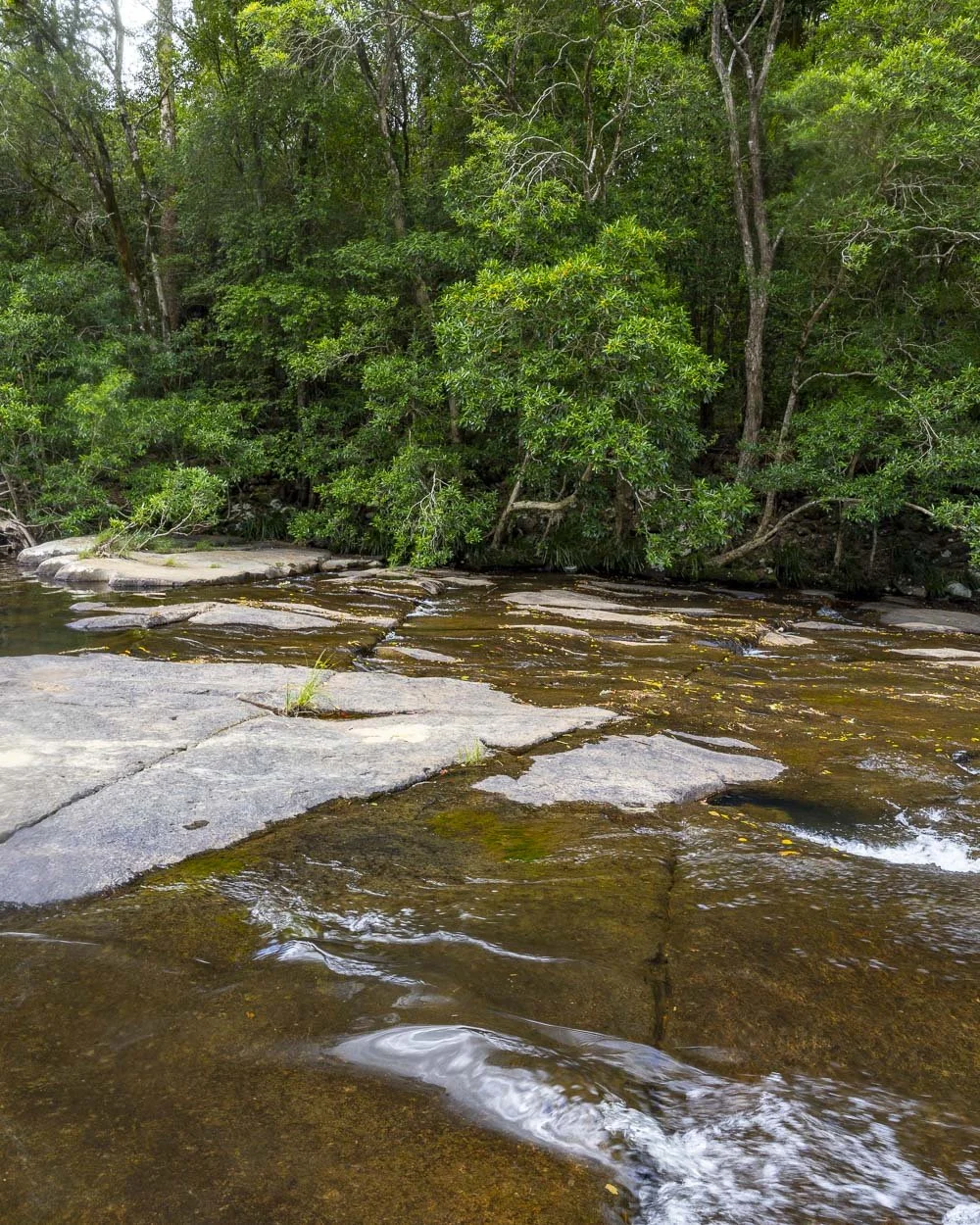 Lone Palm Pool: is this Kangaroo Valley's best hidden swimming spot ...