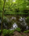 Hartburn Grotto: Northumberland's secret Hobbit Hole — Walk My World