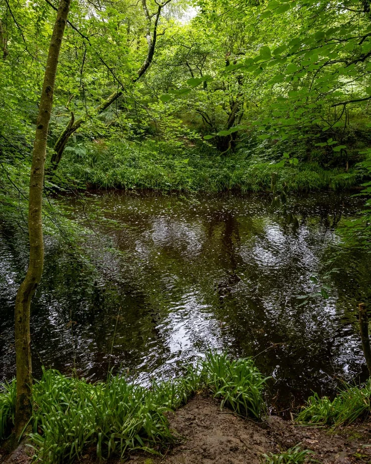Hartburn Grotto: Northumberland's secret Hobbit Hole — Walk My World
