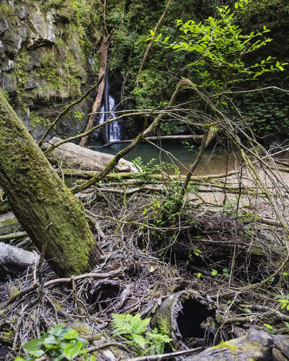 Problem Creek Falls: wild swimming at Barrington Tops' secret waterfall ...