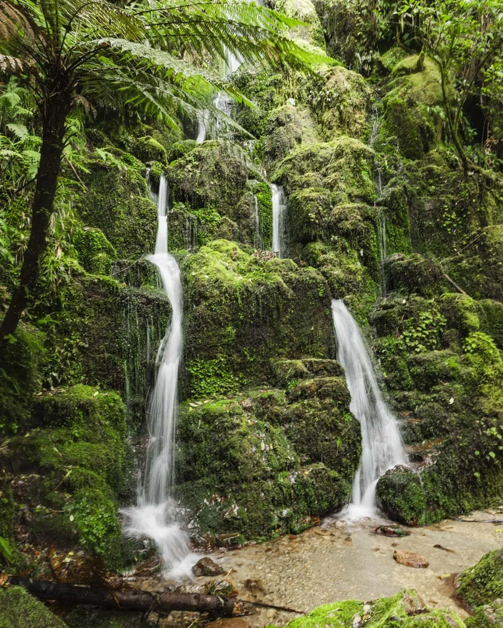 Cascade Falls: Rotorua's secret glow worm waterfall — Walk My World