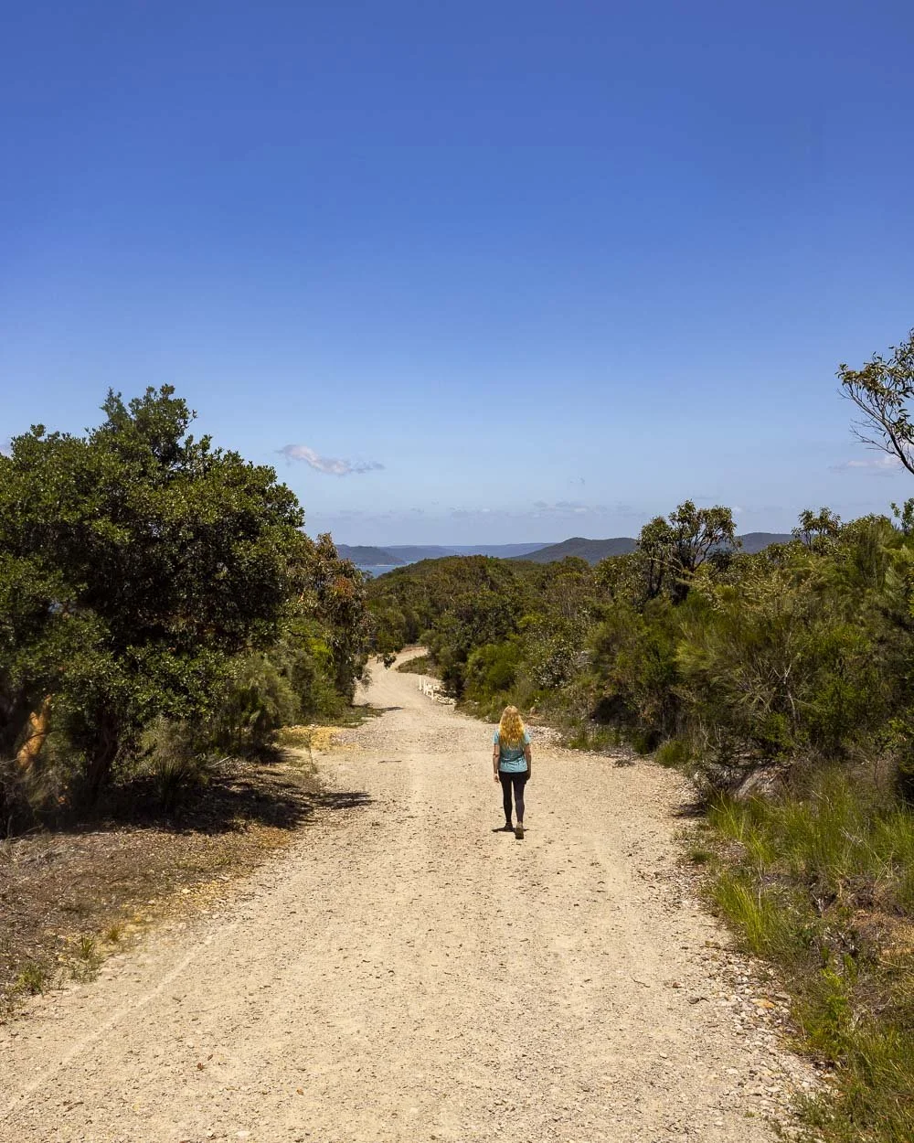 Iron Ladder Beach: is this the Central Coast's most adventurous beach ...