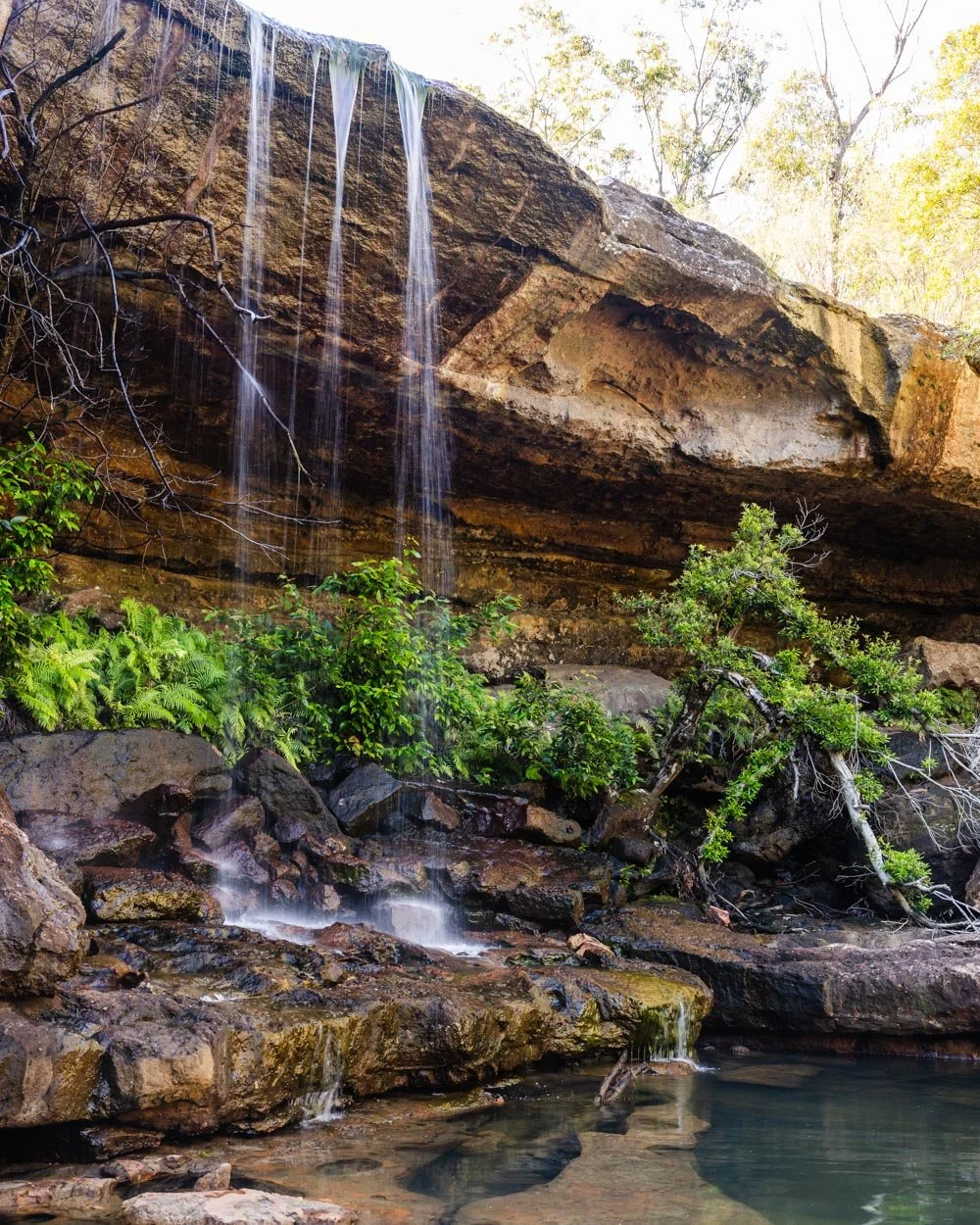 Hell Hole Falls: a spectacular waterfall swimming hole near Jervis Bay ...