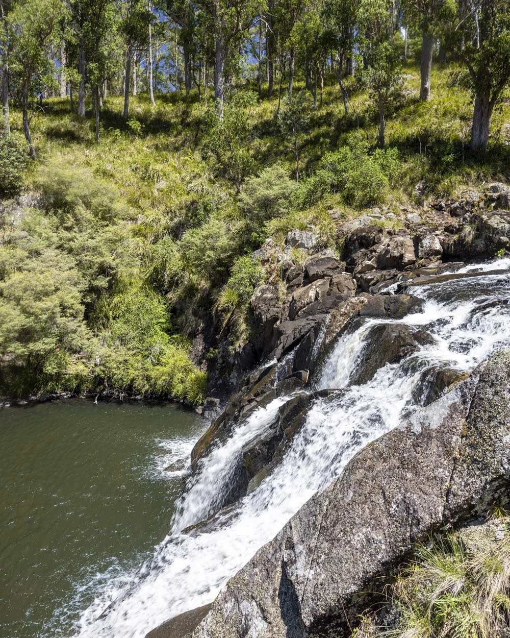 Little Manning Falls: a rarely visited waterfall swimming hole in ...