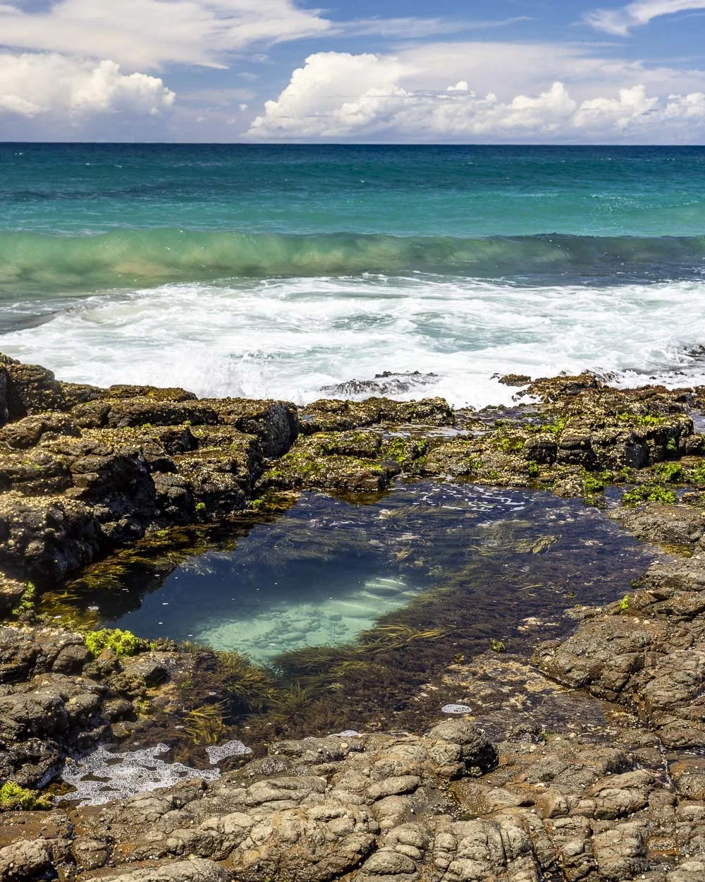 How to find the best rockpools at Cathedral Rocks in Kiama — Walk My World