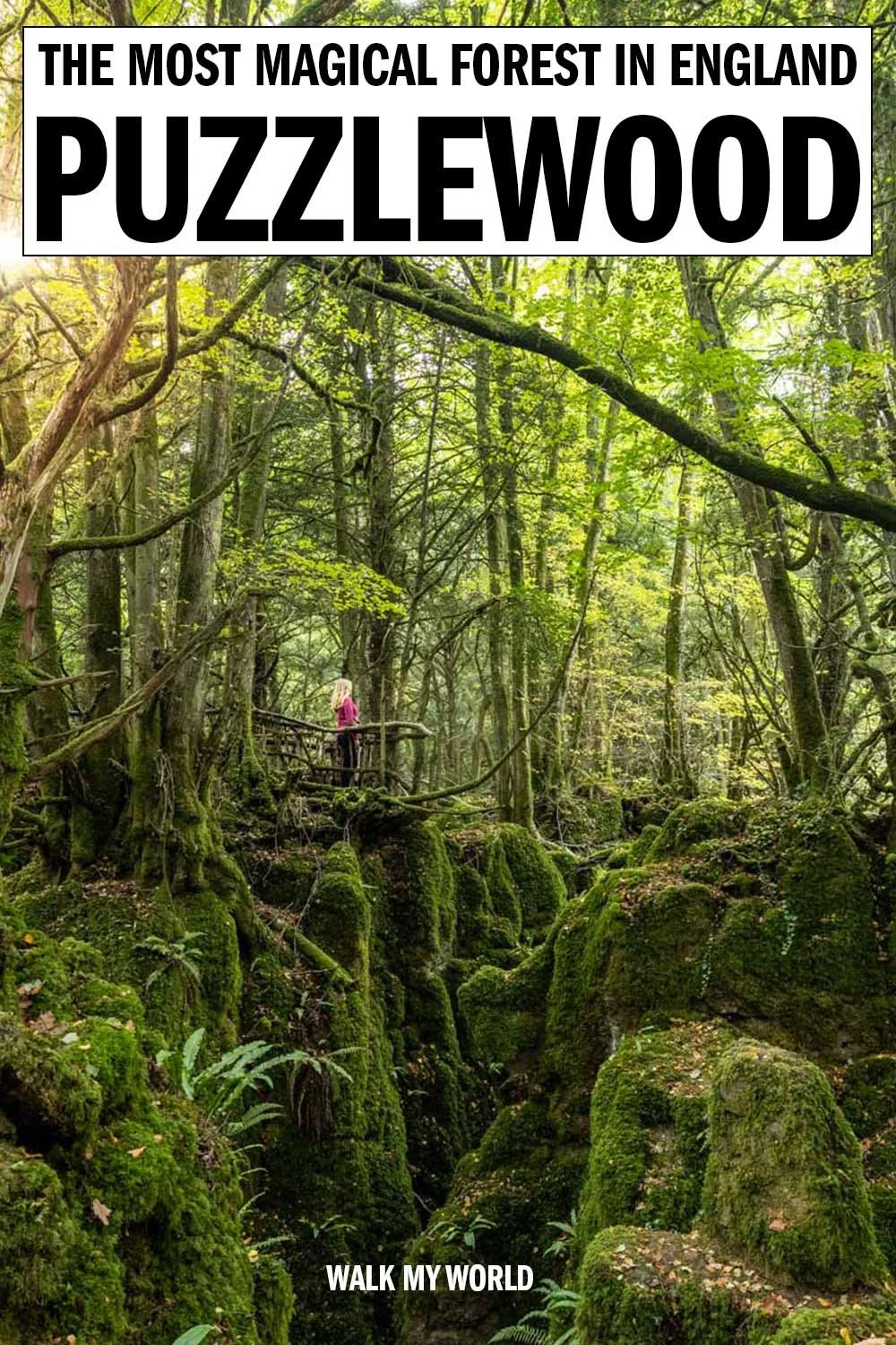 Puzzlewood: the most magical forest in England — Walk My World