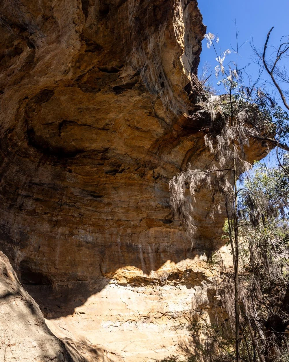 Rain Cave: a majestic hidden cave in the Blue Mountains — Walk My World