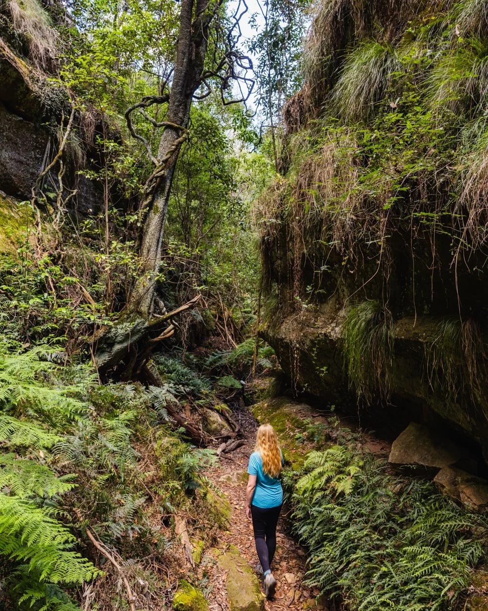 17 Incredible Things to do in Mudgee for a Fun Filled Weekend Break ...