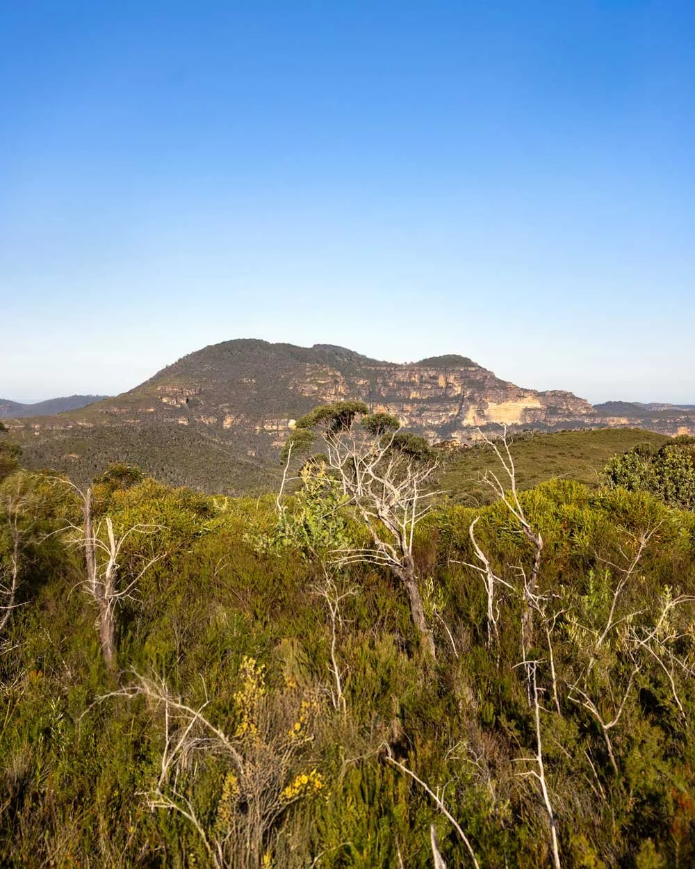 Mirrorball Arch: spectacular sunset views and an easy to access rock ...