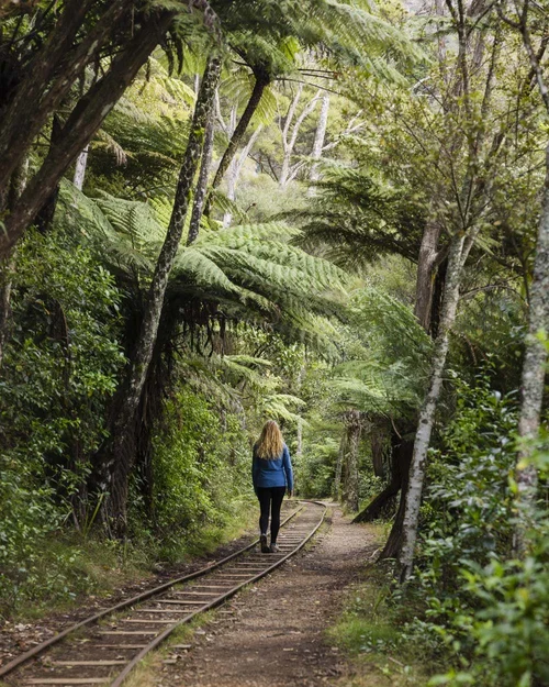 Karangahake Windows Walk: explore incredible old gold mining tunnels by ...