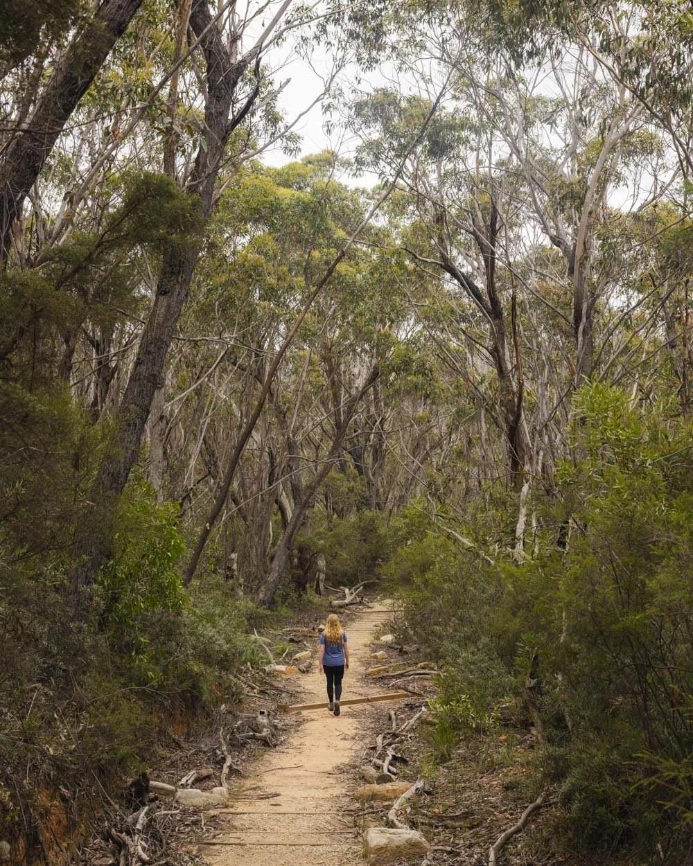Walls Cave: an easy cave and canyon walk in Blackheath — Walk My World