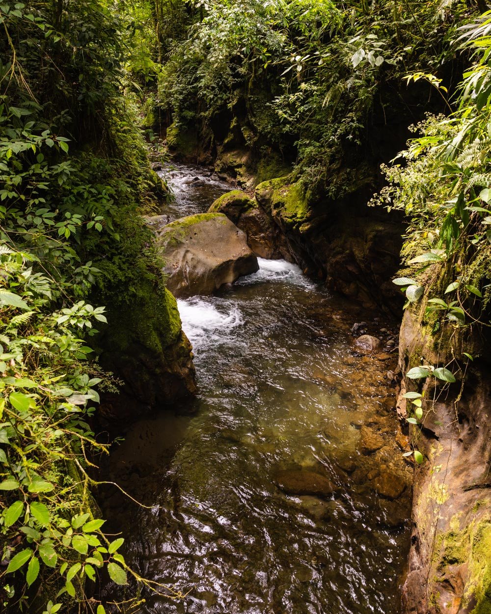 El Tigre Waterfalls - what to expect & the truth about the uphill climb ...