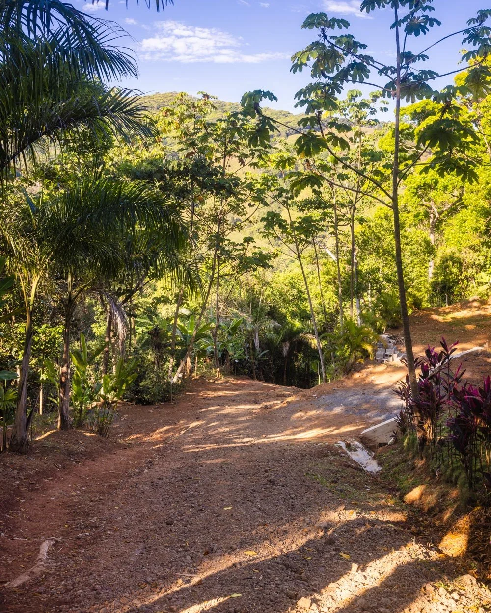 How to visit Nauyaca Waterfall the easy way — Walk My World