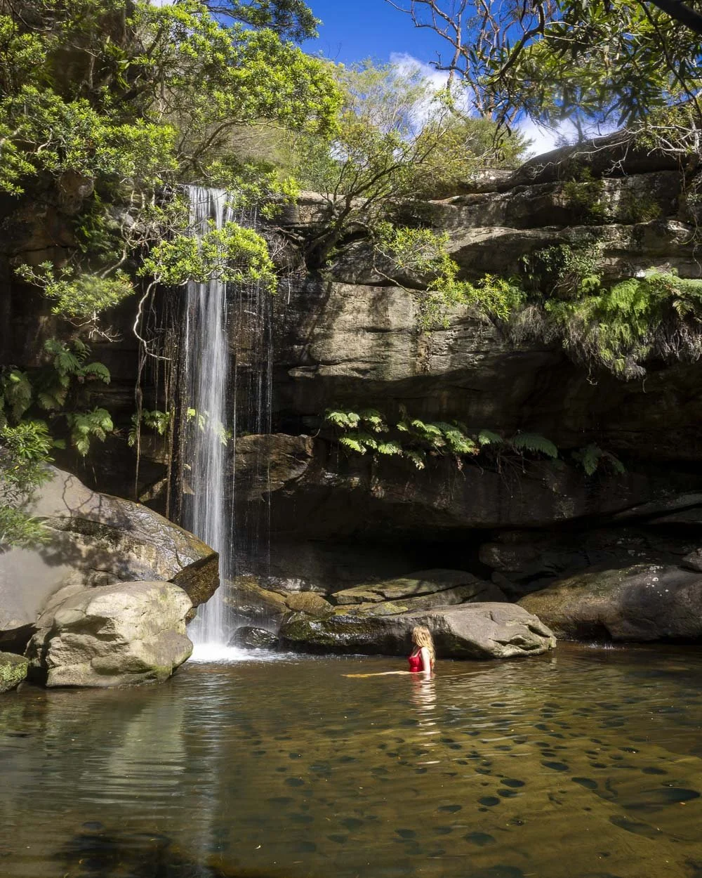 Girrakool Falls: a gorgeous waterfall and plunge pool on the Central ...