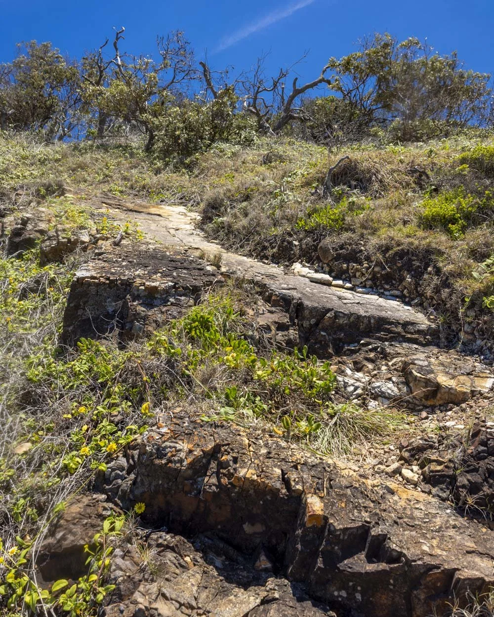 Swimming in Crescent Head's secret azure rock channel — Walk My World