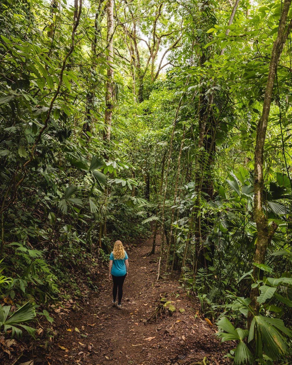Rainmaker: hanging bridges and jungle swimming holes without the crowds ...