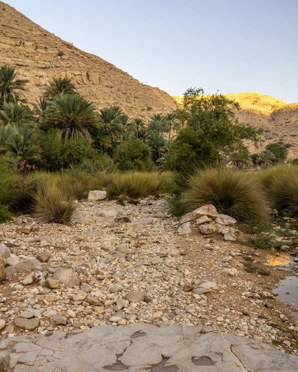 Wadi Bani Khalid: how to escape the crowds at Oman's most popular wadi ...