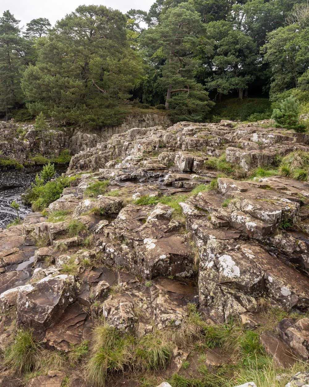 How to visit High Force Waterfall for free — Walk My World