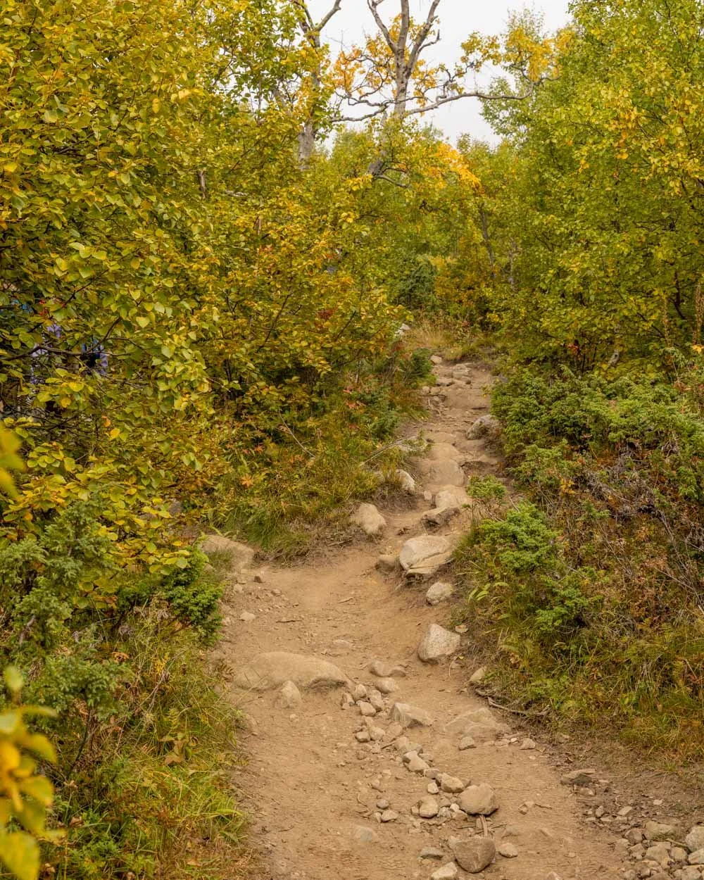 What to expect and how to prepare for the Besseggen Ridge hike — Walk ...