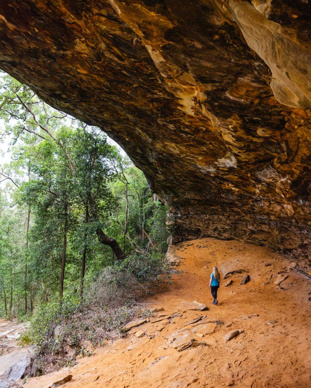 Exactly how to find the Central Coast's incredible Mega Cave — Walk My ...