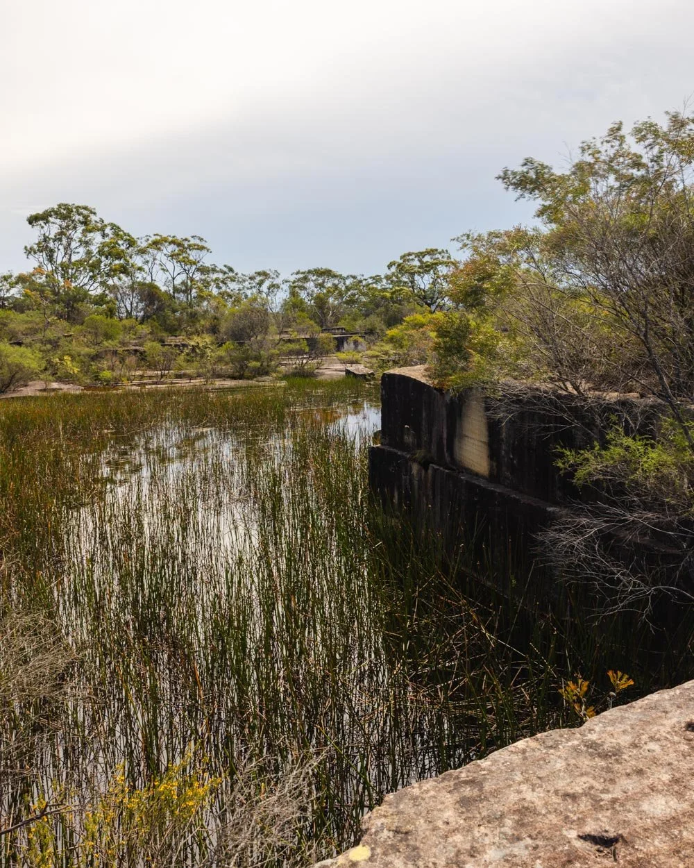 Exactly how to find the Central Coast's incredible Mega Cave — Walk My ...