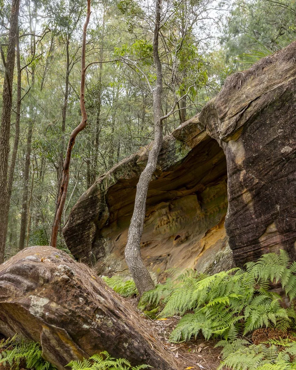 Pindar Cave: is the the Central Coast's best wild camping spot? — Walk ...
