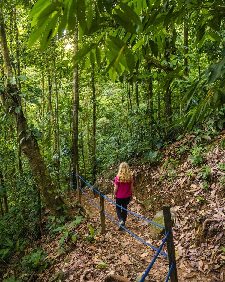 How to visit Nauyaca Waterfall the easy way — Walk My World