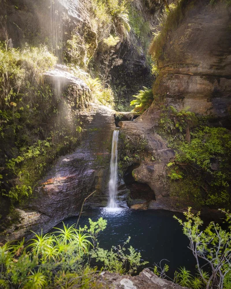 Nayook Falls: a sensational canyon waterfall in the Blue Mountains ...
