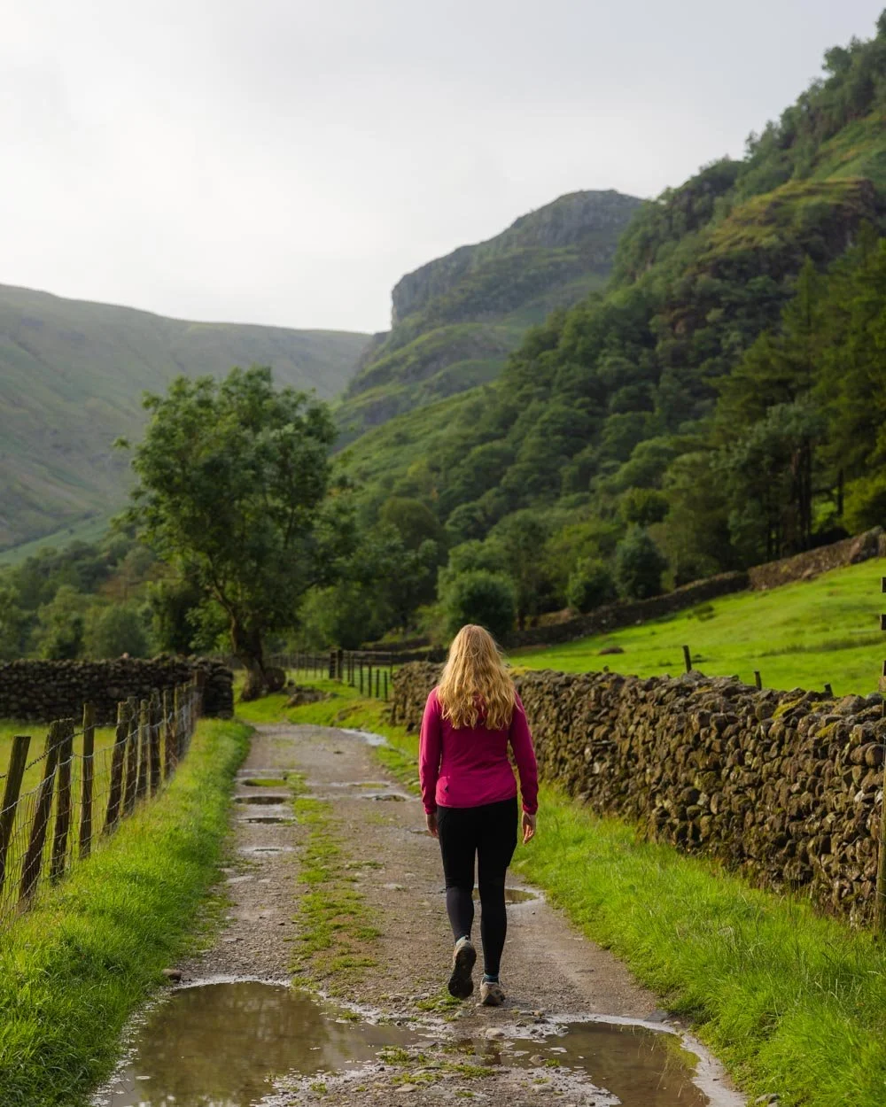 Galleny Force: wild swimming at Borrowdale's fairy glen — Walk My World