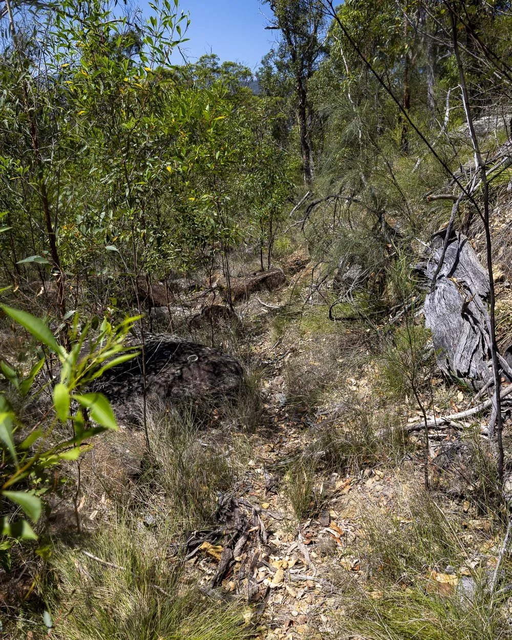 Yalwal Creek: the best hidden swimming spots in Morton National Park ...
