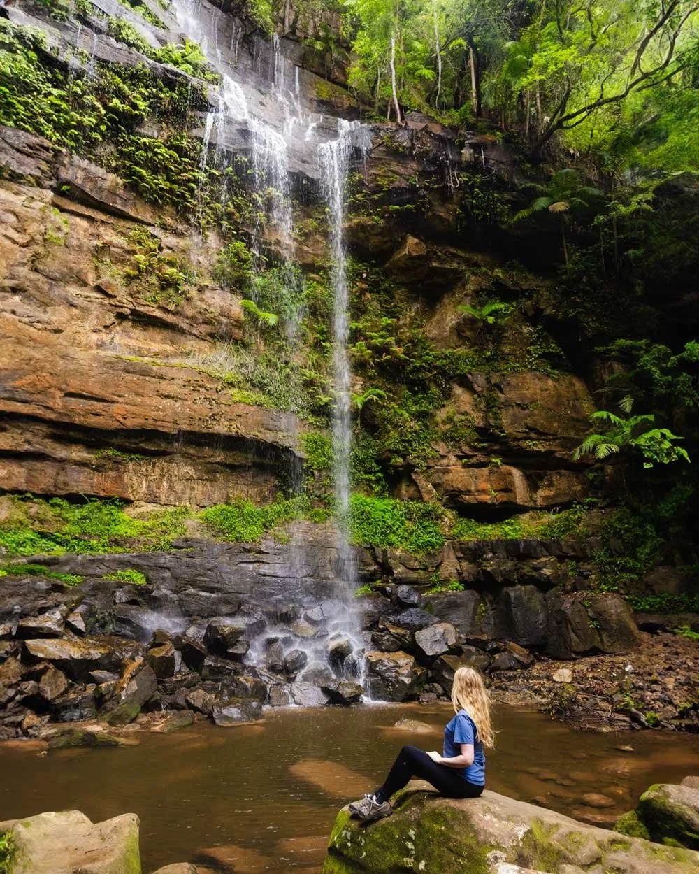 Gap Creek Falls: a spectacular rainforest waterfall on the Central ...