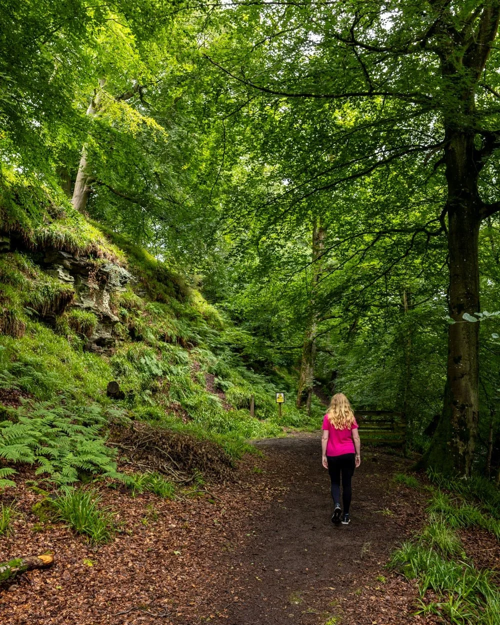 Hartburn Grotto: Northumberland's secret Hobbit Hole — Walk My World