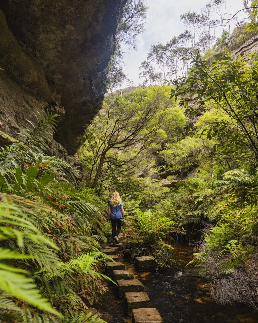 Walls Cave: an easy cave and canyon walk in Blackheath — Walk My World