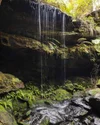 Bedford Creek: waterfalls, rainforest and wild swimming — Walk My World
