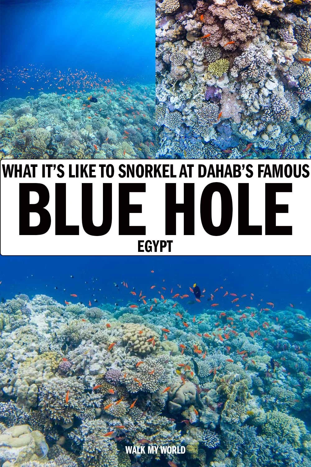 How to visit the spectacular Dahab Blue Hole without a tour — Walk My World
