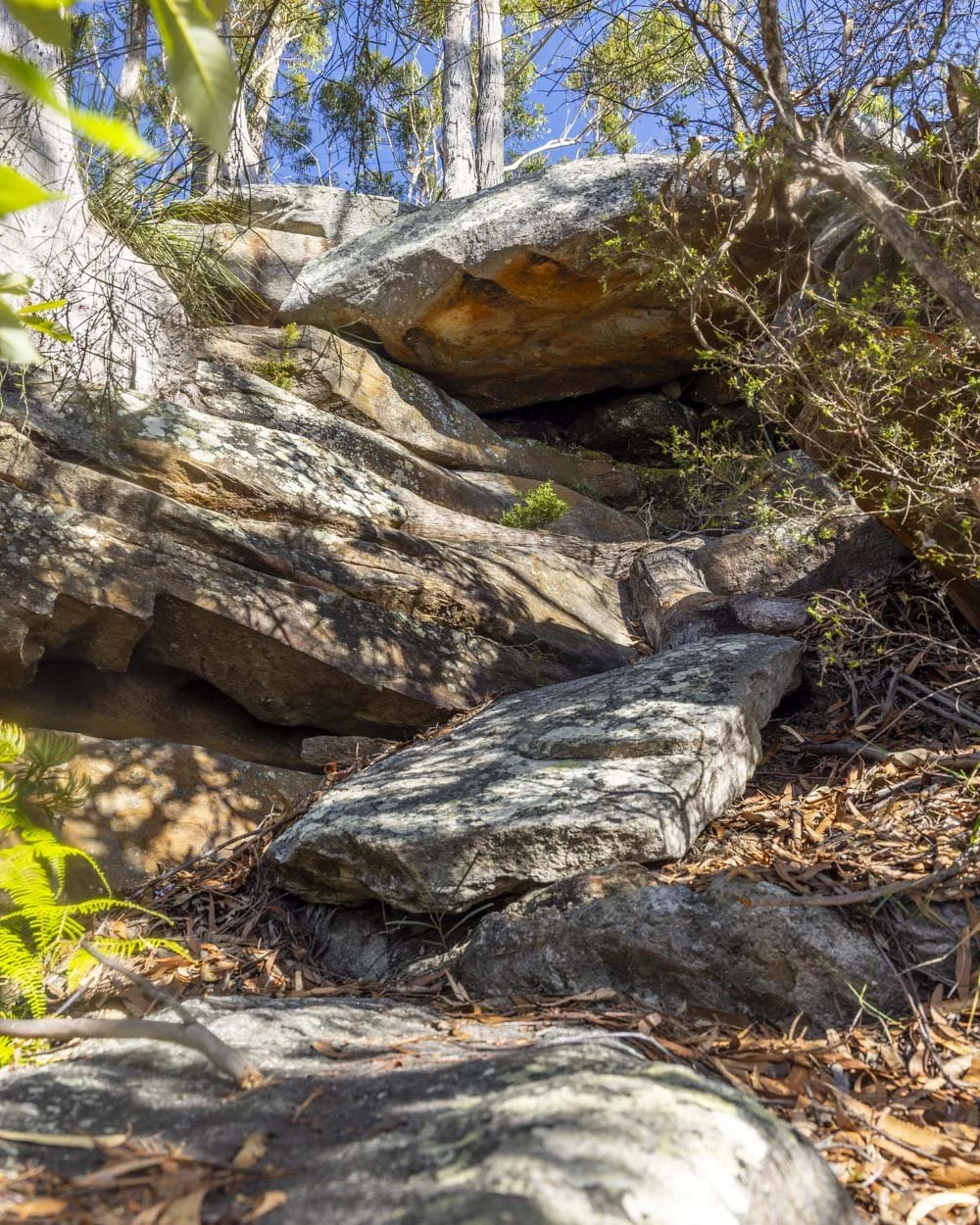 The truth about Sweet Potato Falls - Coffs Harbour's viral 'infinity ...