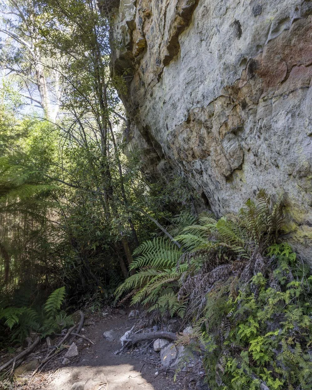 Pool of Diana: wild swimming in the Blue Mountains' hidden paradise ...